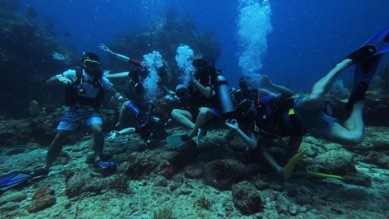 Take a diving or snorkeling tour on St Maarten!