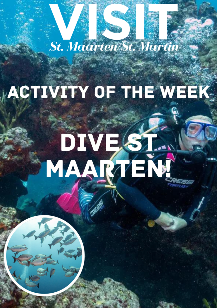 ACTIVITY OF THE WEEK - DIVE ST MAARTEN! | St. Maarten / St. Martin
