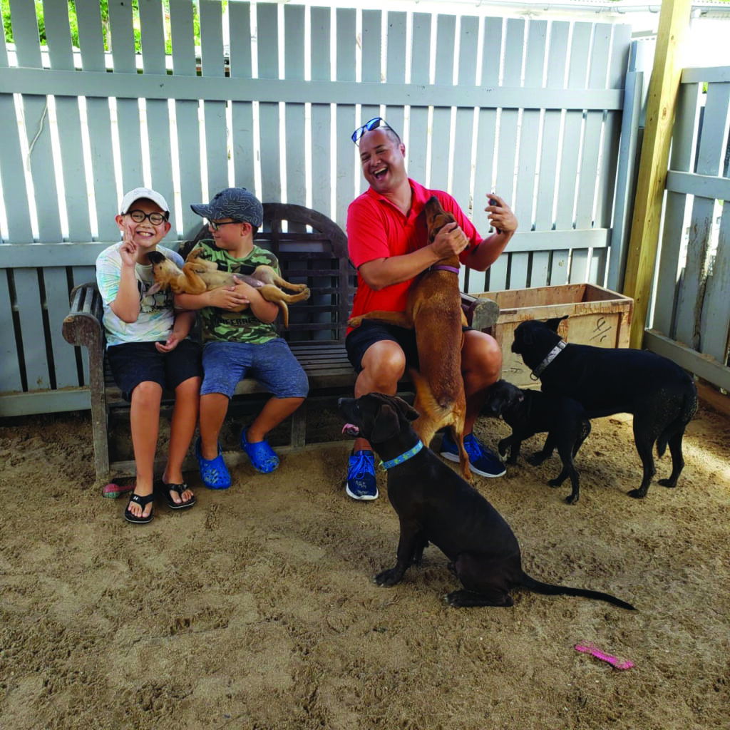 MAKE A DIFFERENCE WITH SXM PAWS | St. Maarten / St. Martin