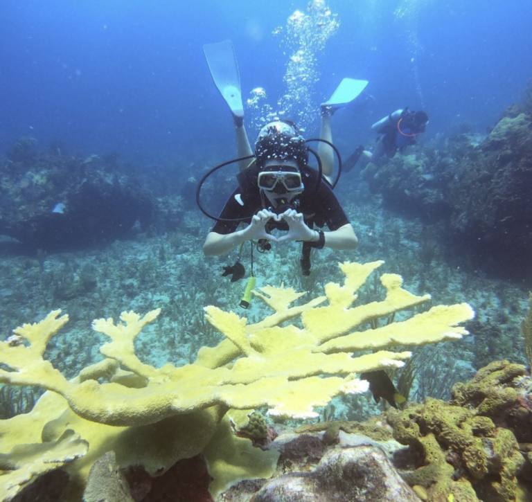 Take a diving or snorkeling tour on St Maarten!