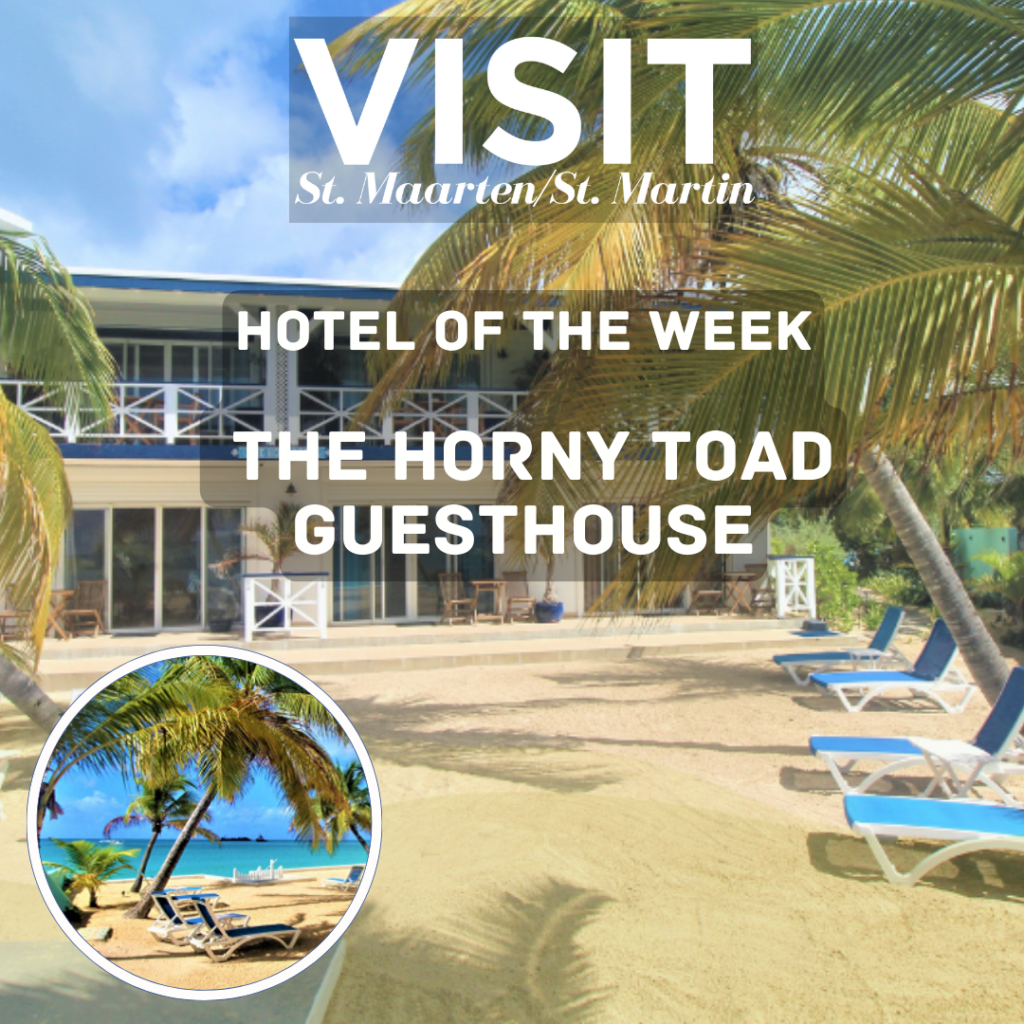 Hotel of The Week: The Horny Toad Guesthouse | St. Maarten / St. Martin