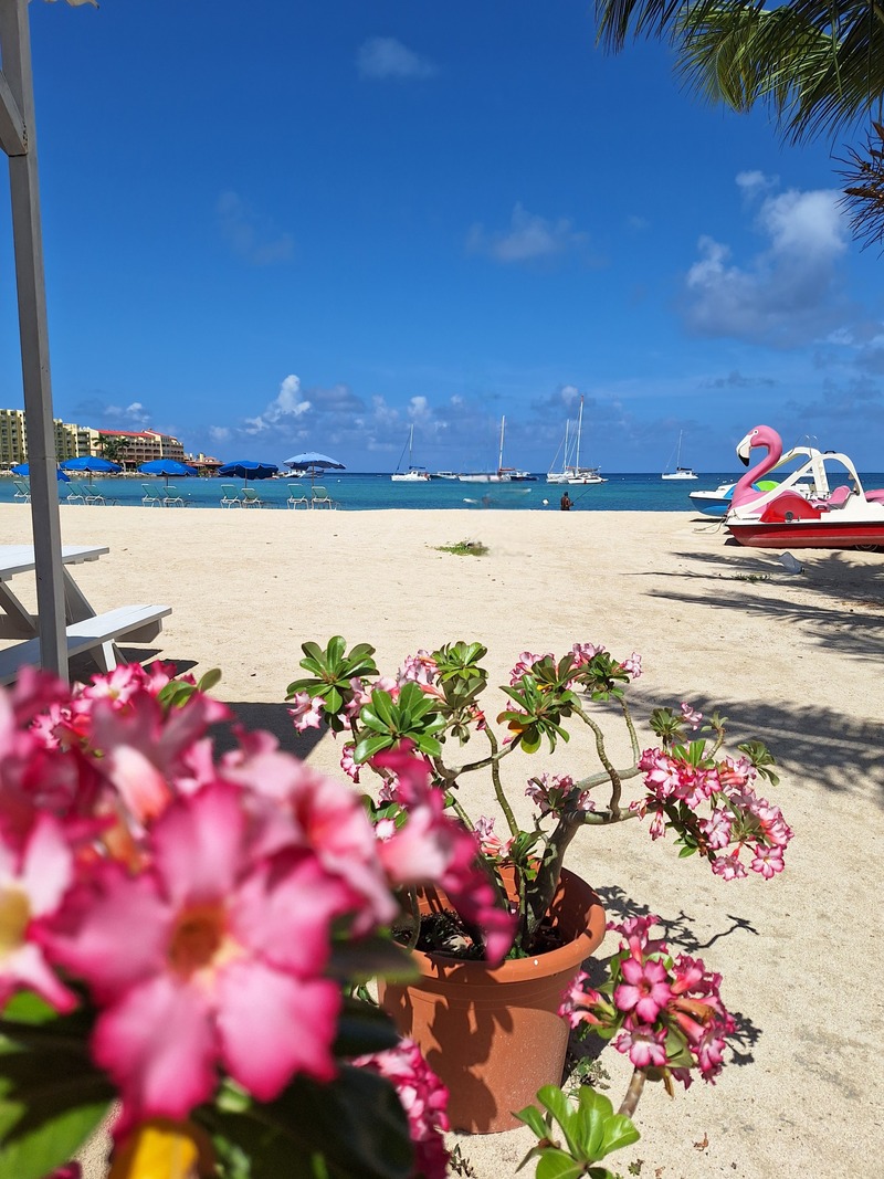 Choosing between St. Maartens most famous beaches Great Bay Beach, Maho ...